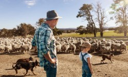 Home - Sheep Central