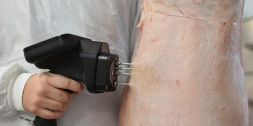 Lamb Processing Archives - Sheep Central