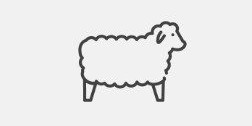 Australian Sheep & Wool News | Sheep Central