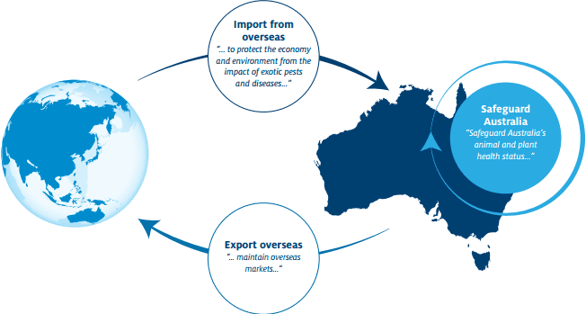 Australia's biosecurity system IGBA review disc paper June10-16 - Sheep ...