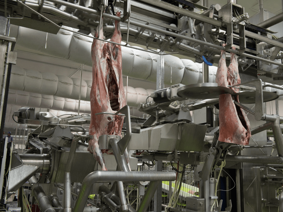 MLA value chain digital strategy' to drive red meat industry future ...