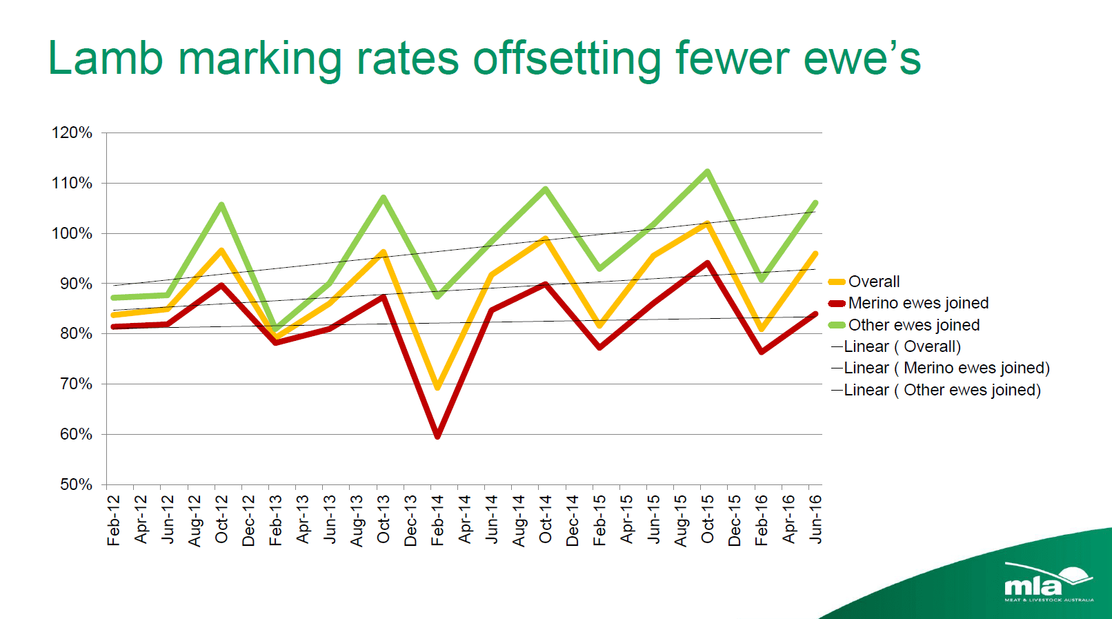 Lamb marking rates offsetting lower ewe numbers says MLA in latest ...