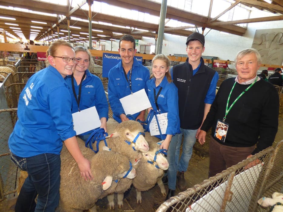 Wool-meat focus gives Cleve Area School major Merino wether competition ...