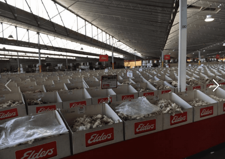 Buyer confidence returns to Australian wool auctions - Sheep Central