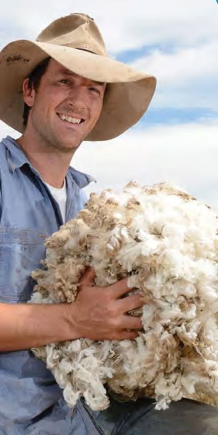 Victoria claims title as leading food and fibre-producing state - Sheep ...