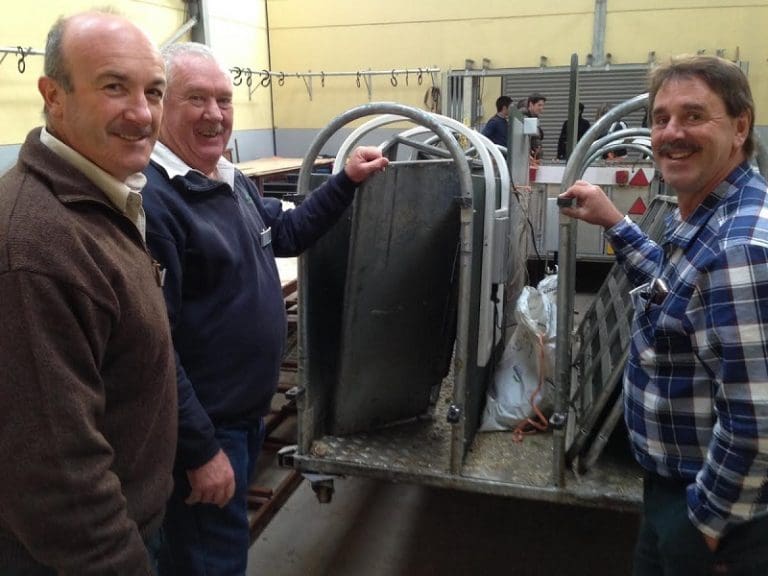 South Australian saleyard is watching Victoria's sheep EID transition ...