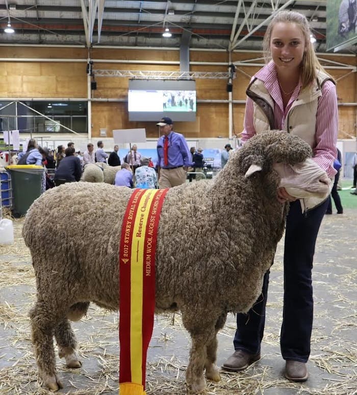 Young QLD Merino breeder Felicity Brumpton has a good day - Sheep Central