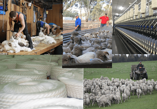 You must know someone special in the Australian wool industry - Sheep ...