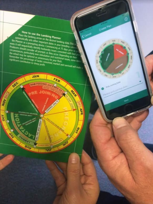 Popular Lambing Planner tool goes digital as a mobile phone app - Sheep ...