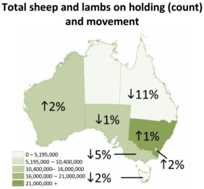 Rapid sheep flock increase unlikely despite productivity gains - Sheep ...