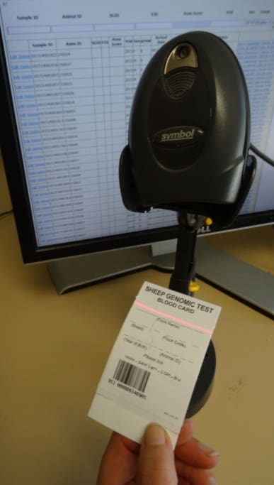 New genetic testing lab development to improve DNA test turnaround ...