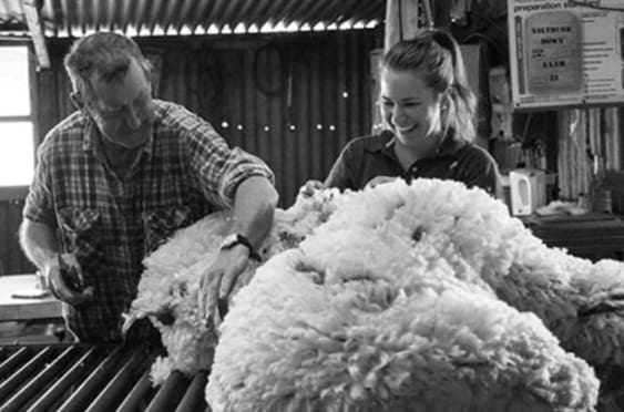 AWI seeks applicants for 2018 Breeding Leadership course - Sheep Central