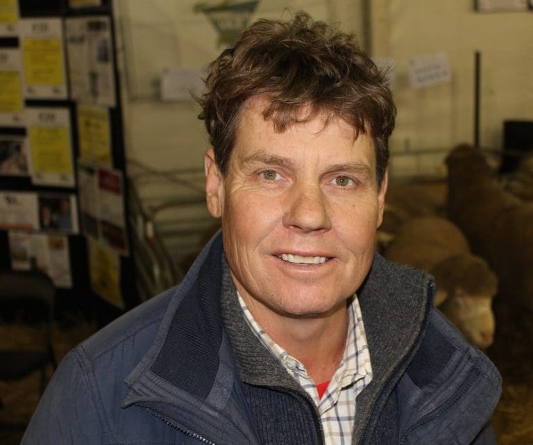 The Merino man behind the mirror: AWI's Wal Merriman - Sheep Central