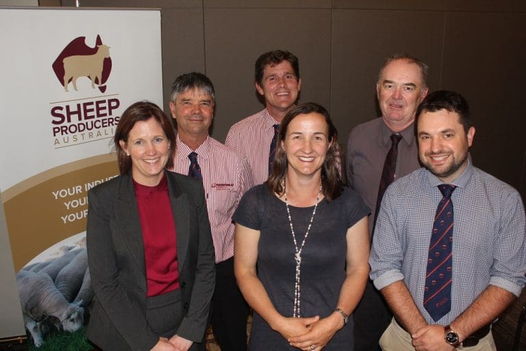 New Year recruitment drive for new Sheep Producers of Australia CEO ...