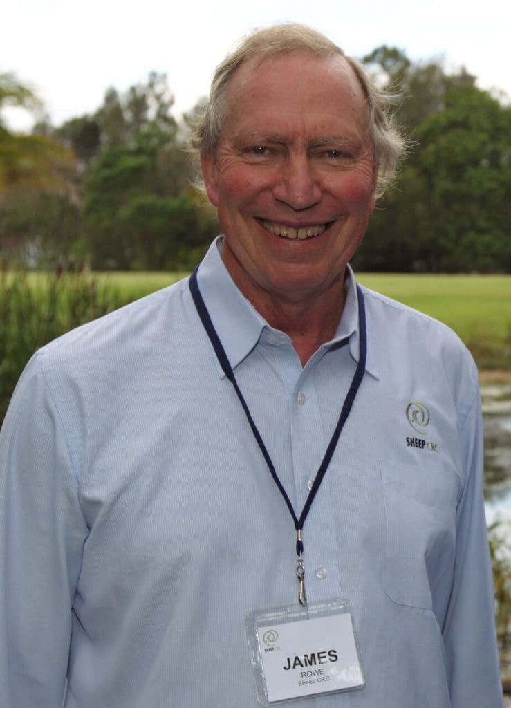 MERINOSELECT and DNA tech use lifts among wool growers - Sheep Central