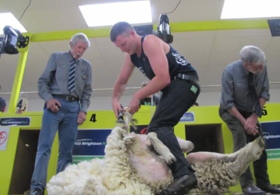 Mortlake to Masterton - NZ shearer Ethan keeps flying for circuit ...