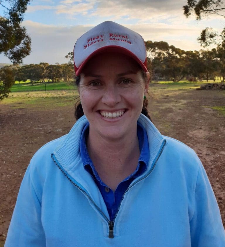 Working dogs are gathered for the State of Origin Cobber challenge ...