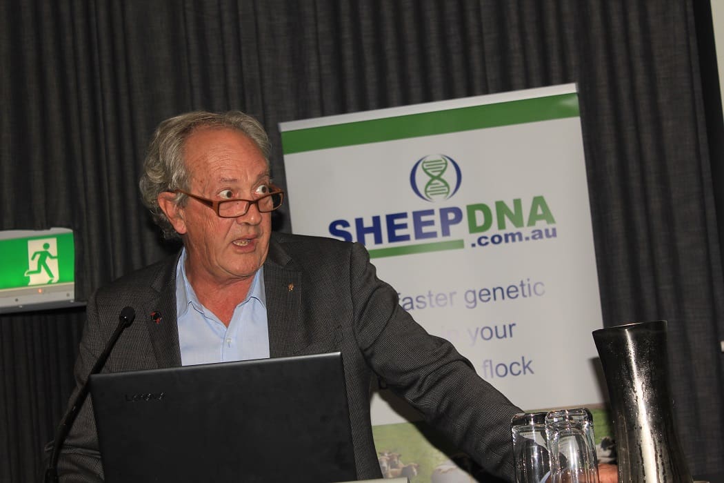 Breeding not feeding is the key to lamb eating quality - Sheep Central