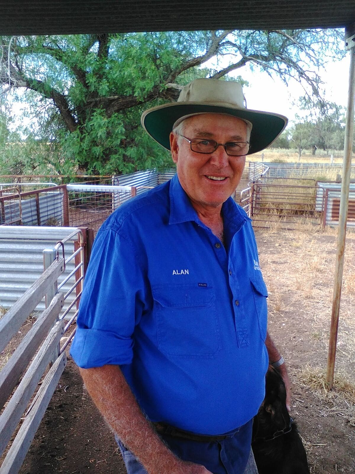 Re-elected AgForce sheep and wool president seeks industry ...