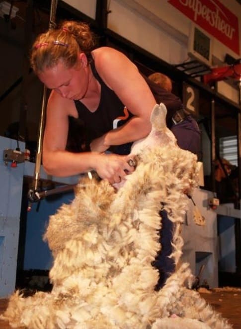Women's shearing events to take centre stage at major NZ championships ...