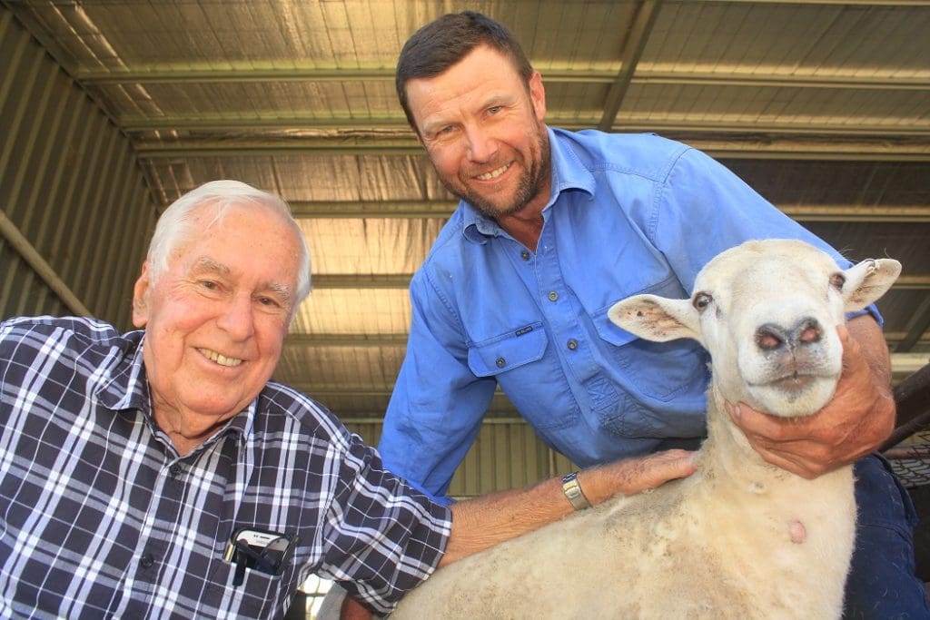 Victorian worm resistant shedding sheep win Samoan project approval ...