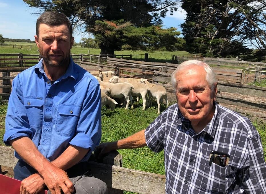 Victorian worm resistant shedding sheep win Samoan project approval ...