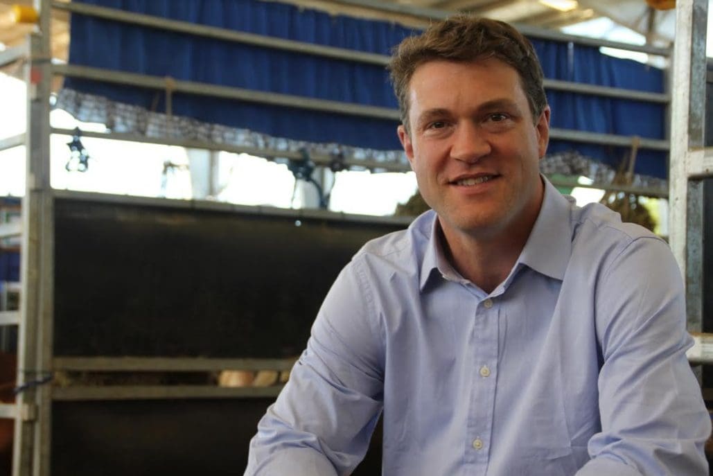 Sheep meat prices to stay strong, lamb above five-year average ...