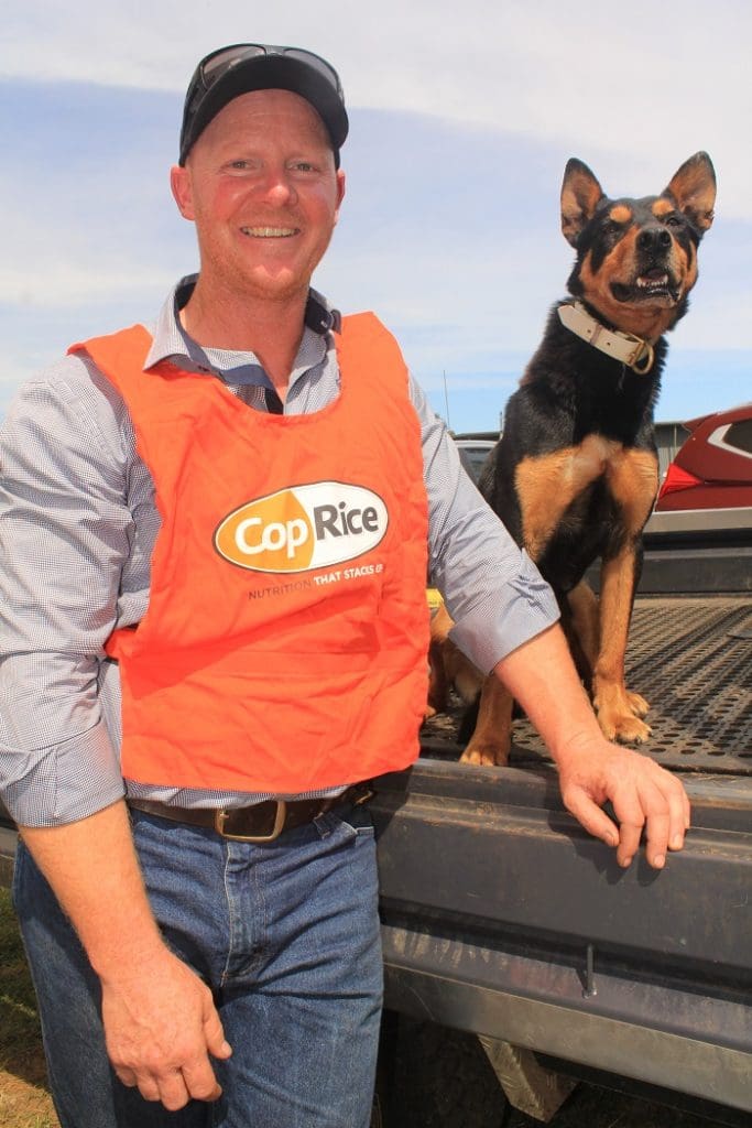 Kelpie with purpose wins 2018 Victorian Yard Dog Championship - Sheep ...