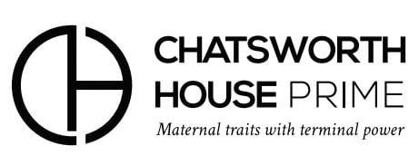 Chatsworth House lamb brand for sale with historic property - Sheep Central