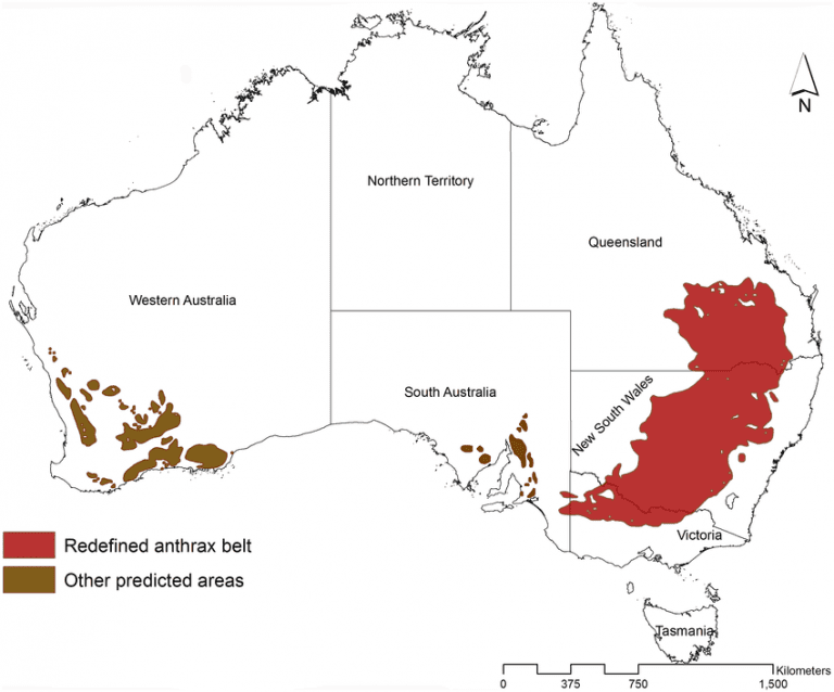 NSW anthrax vaccination initiative has federal support - Sheep Central