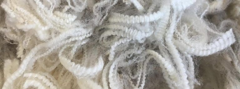 The hunt is on to find Australia's top young wool brokers - Sheep Central