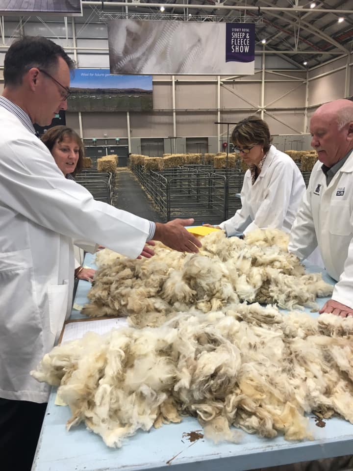 Shearer's daughter Tahlia wins national wool classer competition ...