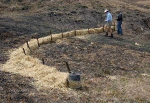 Warning on flooding, erosion and landslides in fire areas - Sheep Central