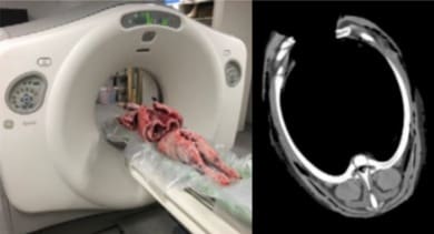 New lamb eating quality measurements to be outlined in webinar - Sheep ...