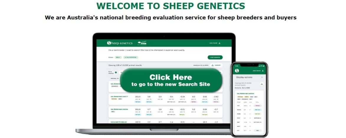 First Sheep Genetics podcasts hit the airways - Sheep Central