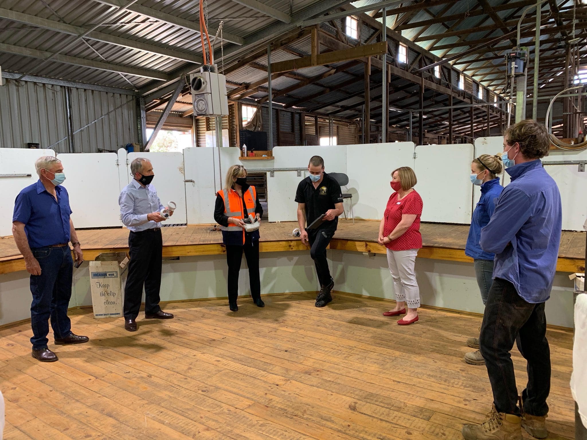 Shearer training to go virtual with new app launch - Sheep Central