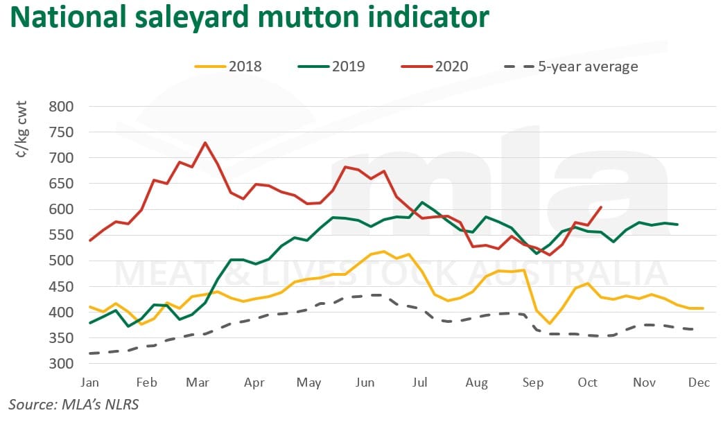 Mutton prices stay strong with American support - Sheep Central