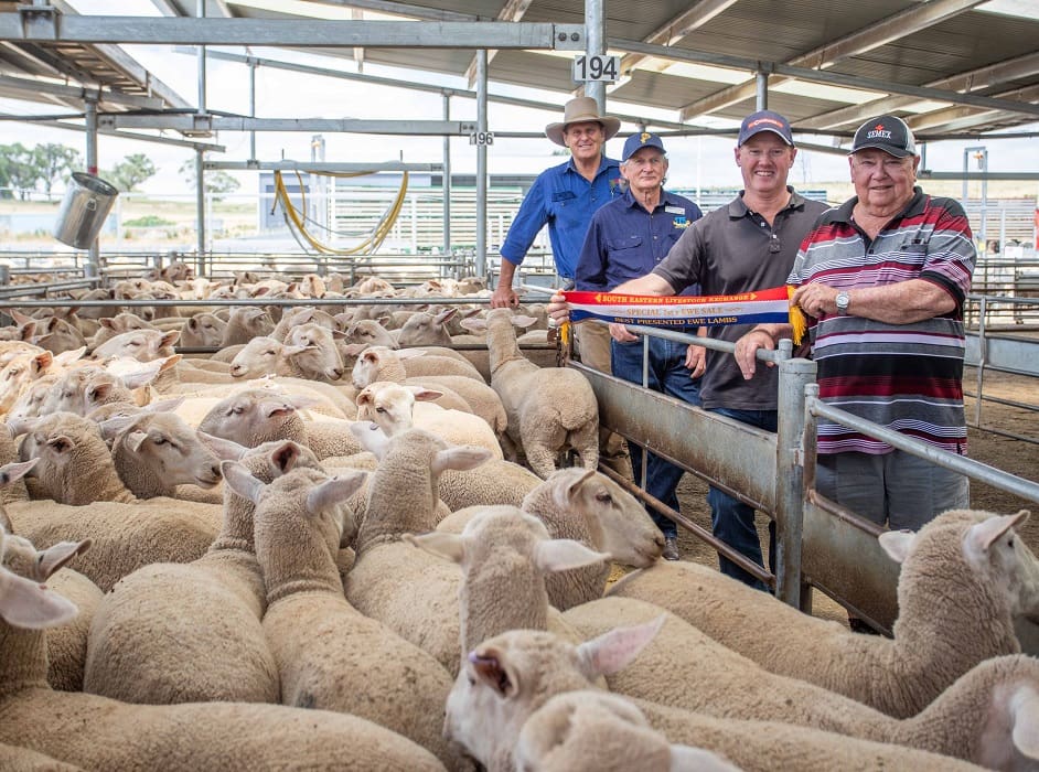 First cross ewes sold with lambs add a new string to Brent's bow ...