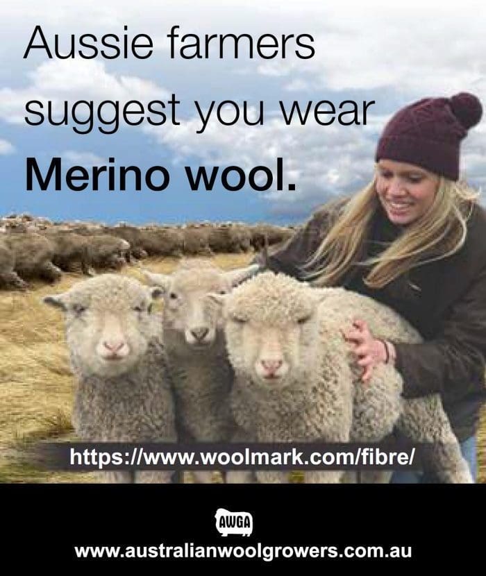 AWGA launches Merino wool consumer campaign in US and UK - Sheep Central