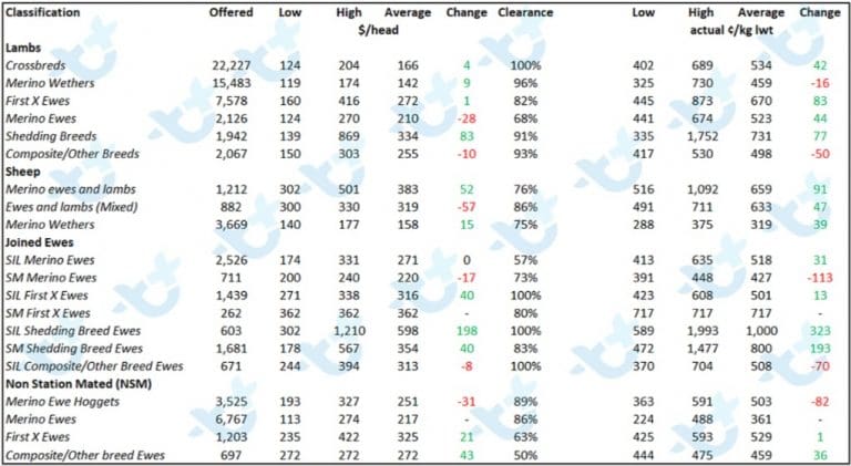 Lamb prices regain ground in AuctionsPlus sales - Sheep Central