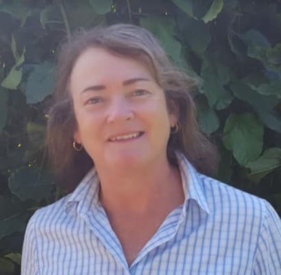 Finding your own approach to a non-mulesed sheep flock - Sheep Central