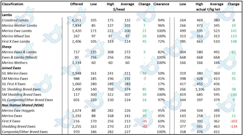 AuctionsPlus sheep and lamb prices stronger last week - Sheep Central
