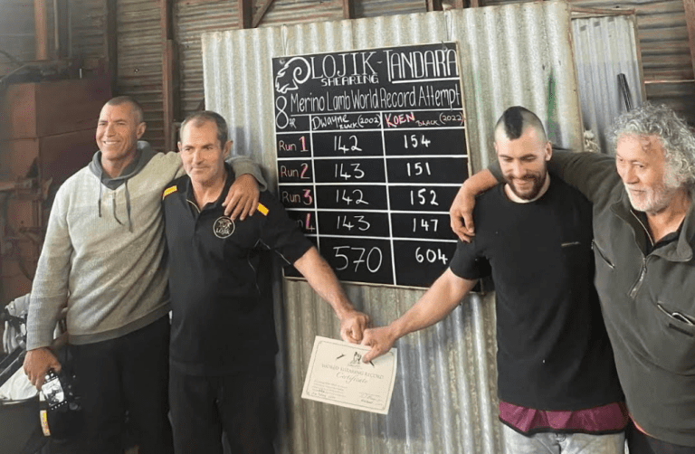 WA shearer sets drug-free world record with 604 Merino lambs - Sheep ...