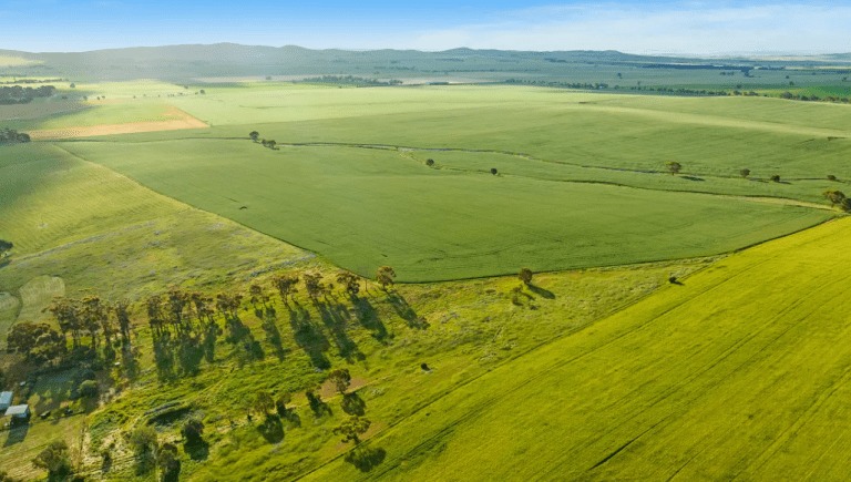 Handburys list impressive mid-north South Australia holding - Sheep Central