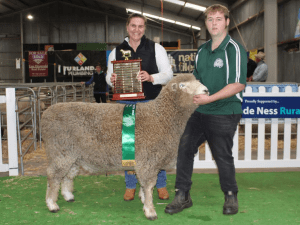 Historic Dalvui was once the home of the Romney - Sheep Central
