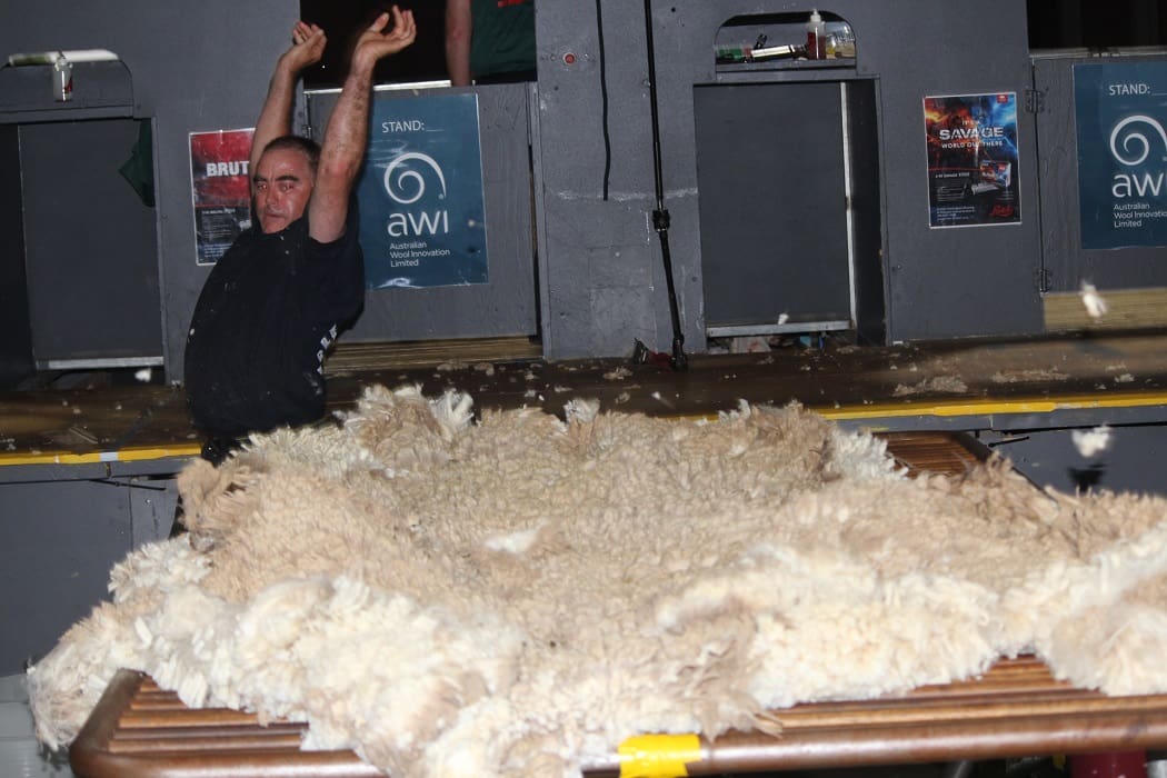 Mark is Australia's top wool handler after 23 years of trying - Sheep ...