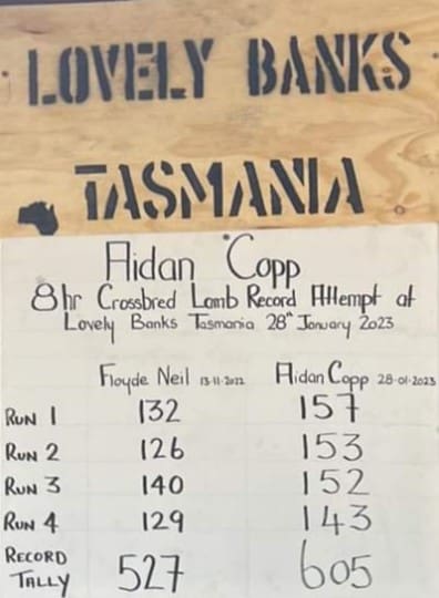 NZ shearer sets new world crossbred lamb record in Tasmania - Sheep Central NZ shearer sets new world crossbred lamb record in Tasmania - Sheep Central