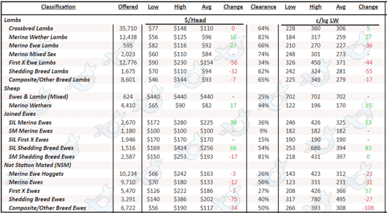 Online sheep and lamb clearances struggle - Sheep Central