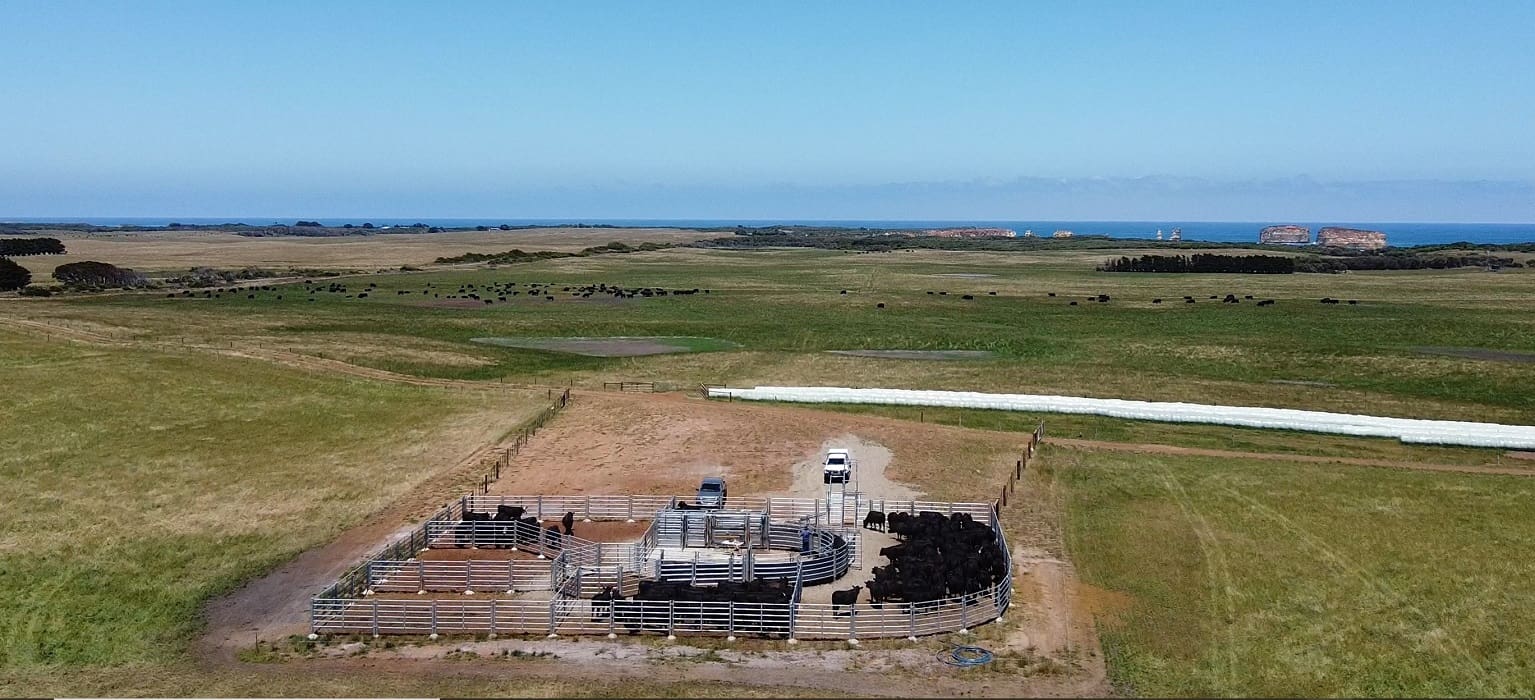 Gallagher purchase of Norton operation opens gate to growth - Sheep Central