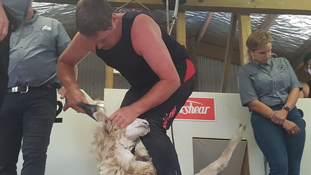 Scots shearer Mutch more than enough in US national championships ...